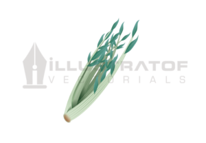 cardoon-vegetables - Illustratof